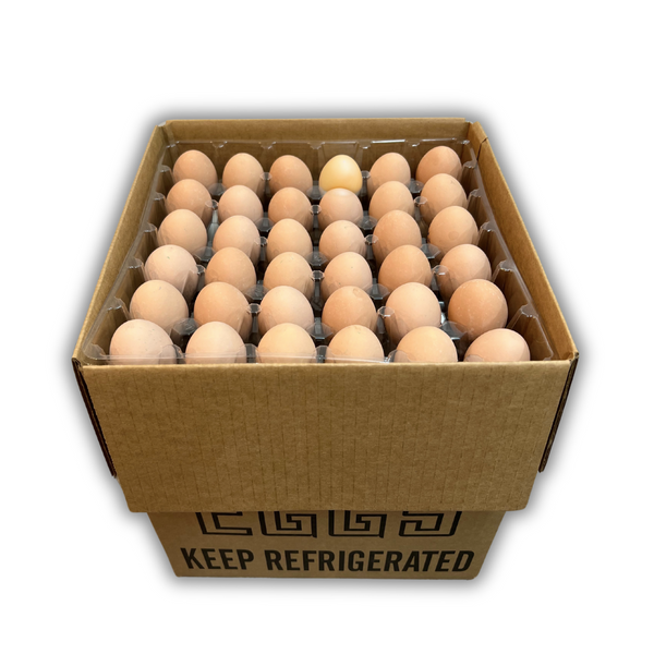 Egg Shipping Boxes and Cases, Cardboard, 15 Dozen – EggCartons.Com