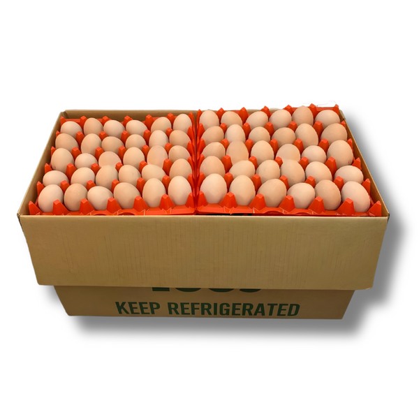 Egg Shipping Boxes and Cases, Cardboard, 30 Dozen – EggCartons.Com