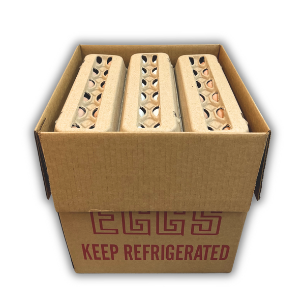Egg Carton Shipping Case | 15 Dozen – EggCartons.Com