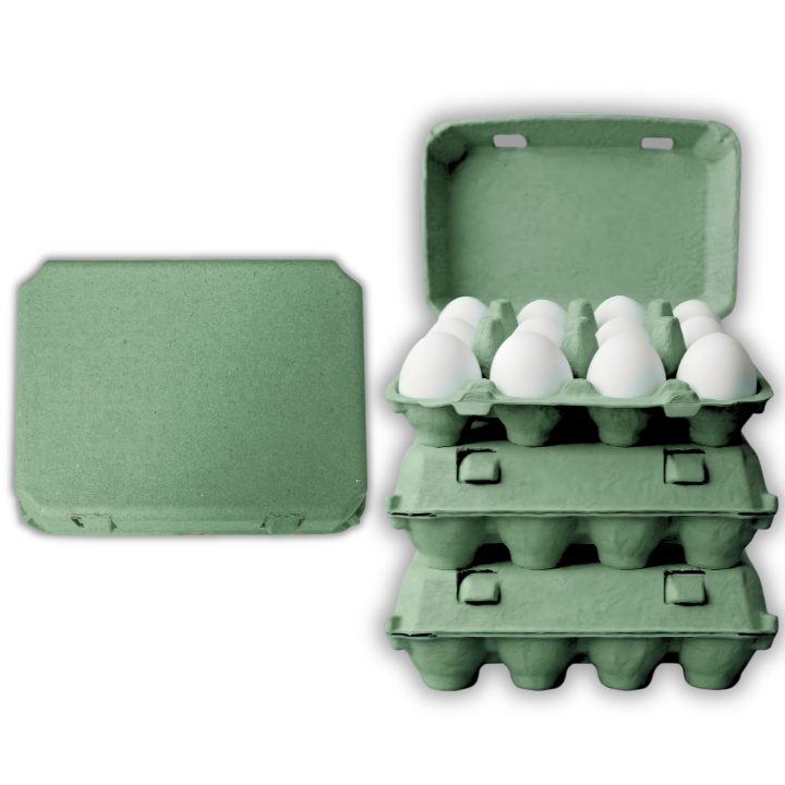 3x4 Vintage Egg Carton in Green Paper Pulp Color Egg Box