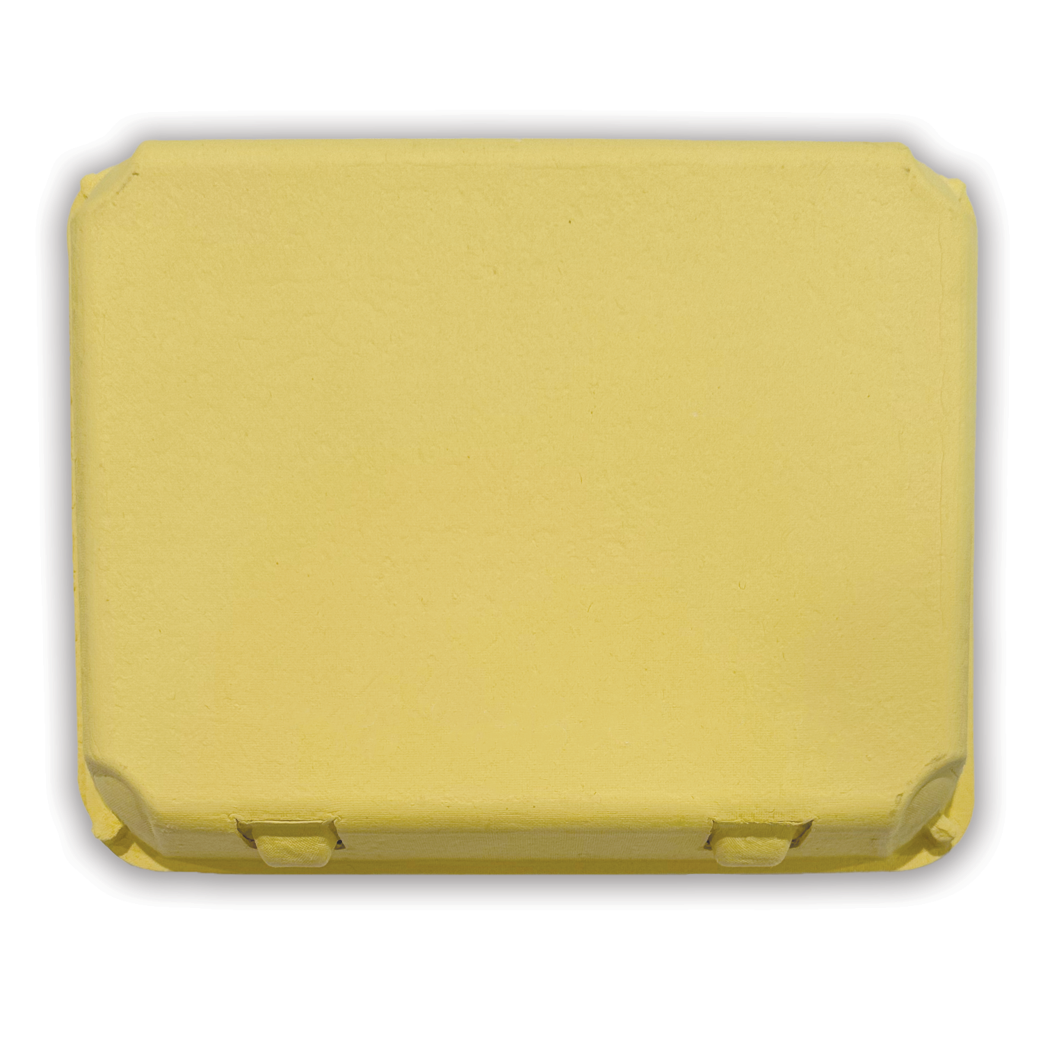 Egg Carton Yellow Vintage 3x4 Style Egg Crate Box