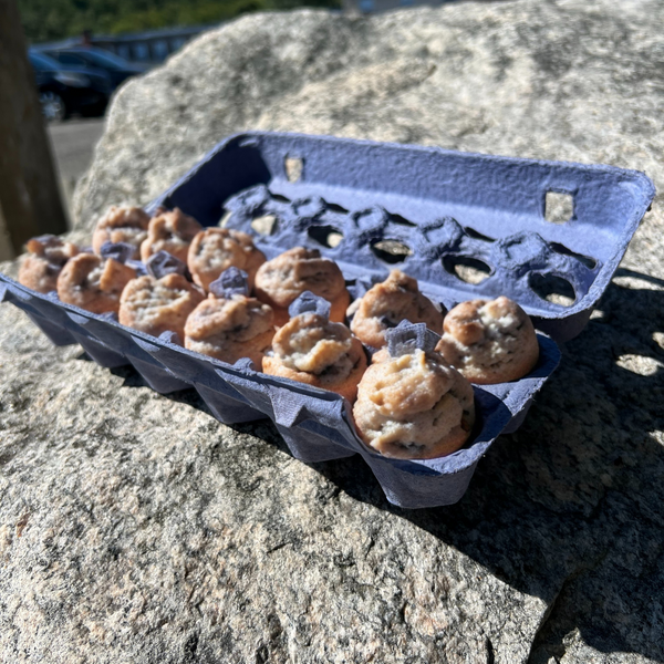 Blue Egg Carton, Pulp 12-Egg – EggCartons.Com