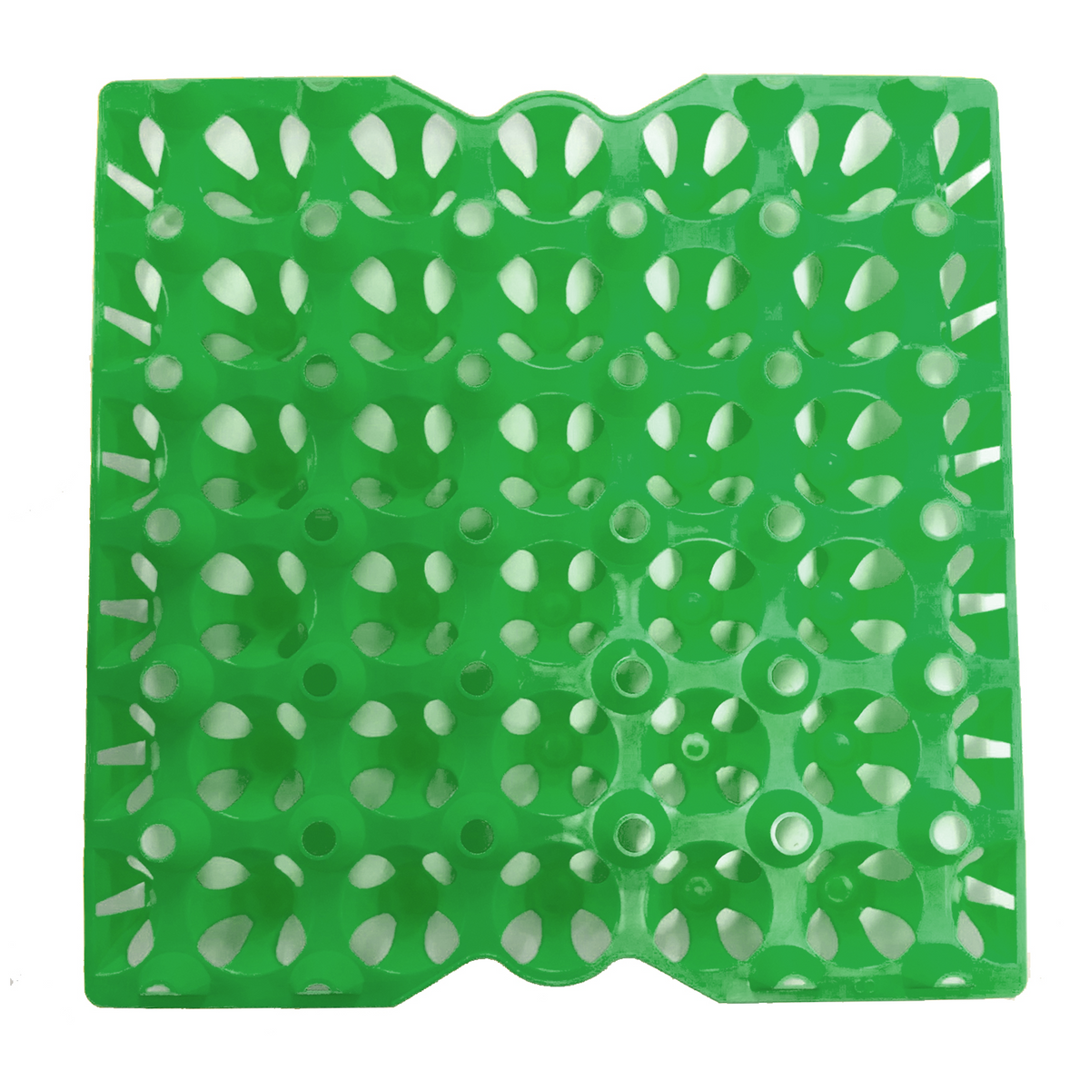 Egg Filler Flat , Plastic Tray, Green, 12"x12" – EggCartons.Com