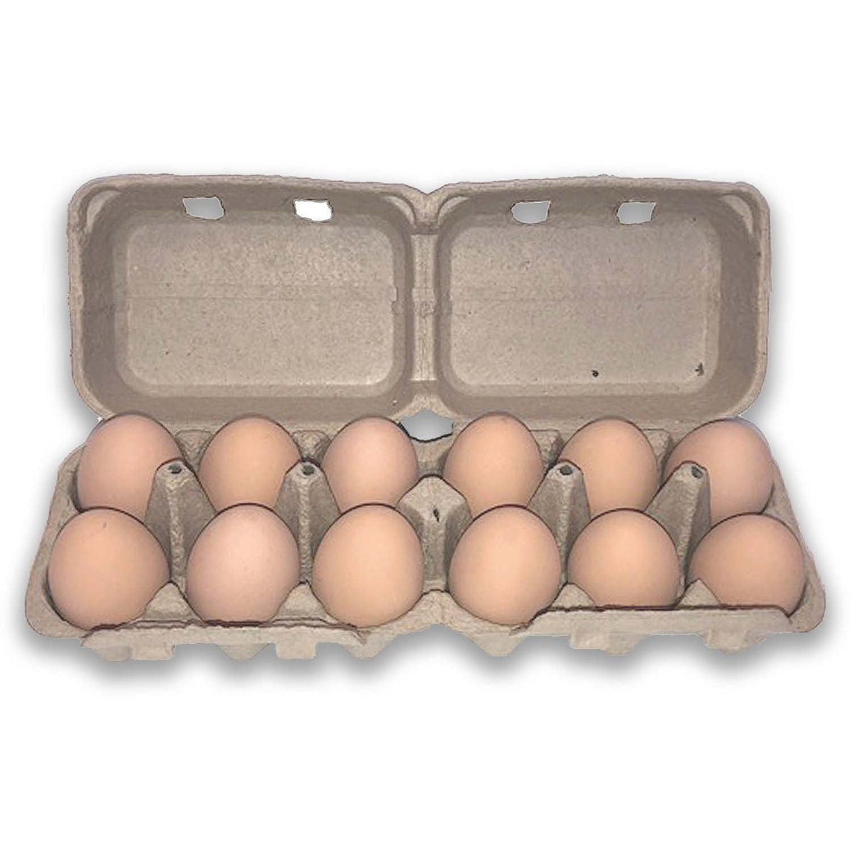 6-Egg Blank Egg Carton, Cheap Twin Split – EggCartons.Com