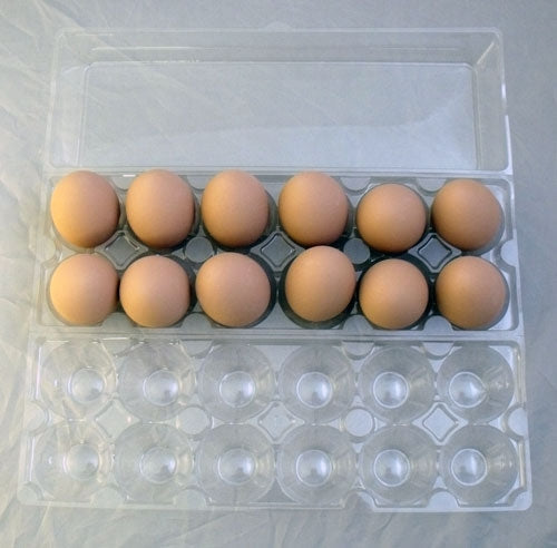 Plastic 12-Egg Unlabeled Tri-Fold Egg Carton – EggCartons.Com