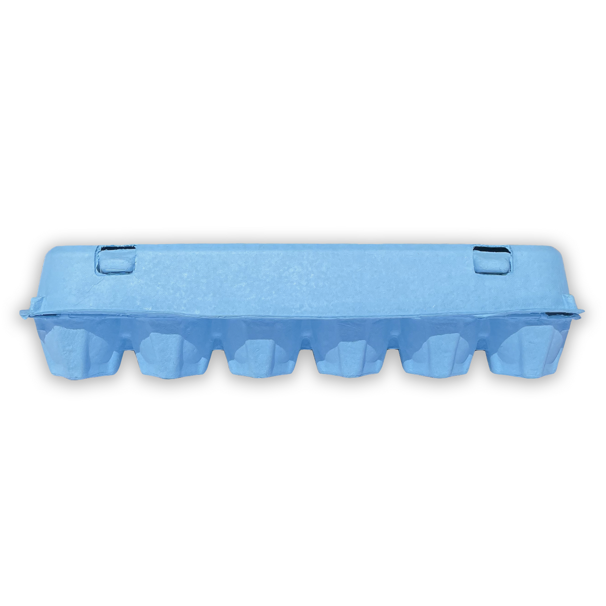 Baby Blue Egg Carton, Pulp 12-Egg Blank – EggCartons.Com